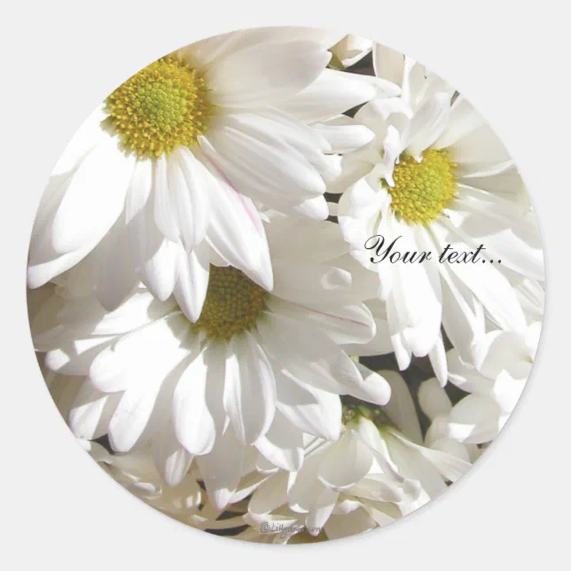 White Daisy Flower Custom Envelope Seals | Zazzle