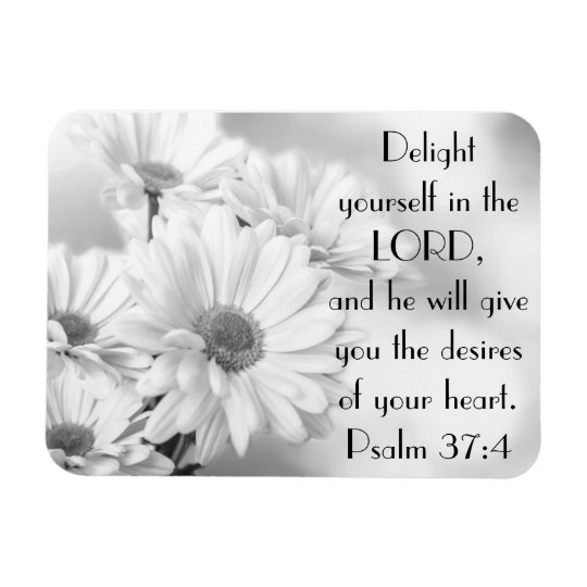 White daisy flowers bible verse Psalm 37:4 Magnet | Zazzle.com