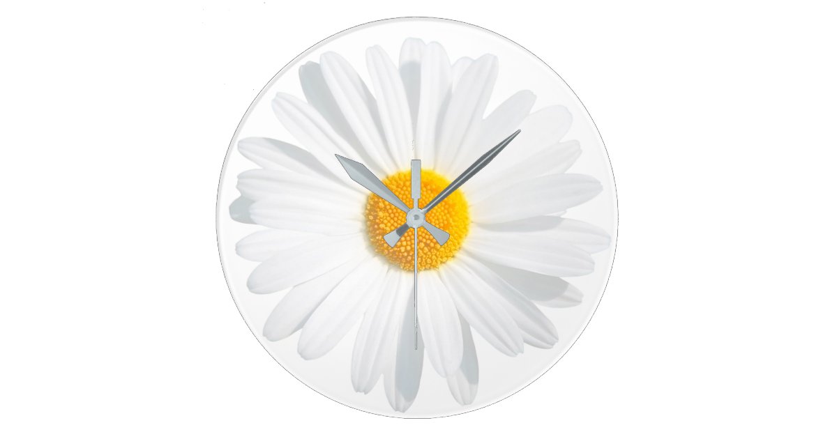 white daisy large clock | Zazzle.com