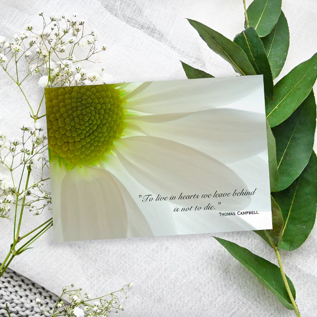 White Daisy Petals Thank You for Your Sympathy | Zazzle