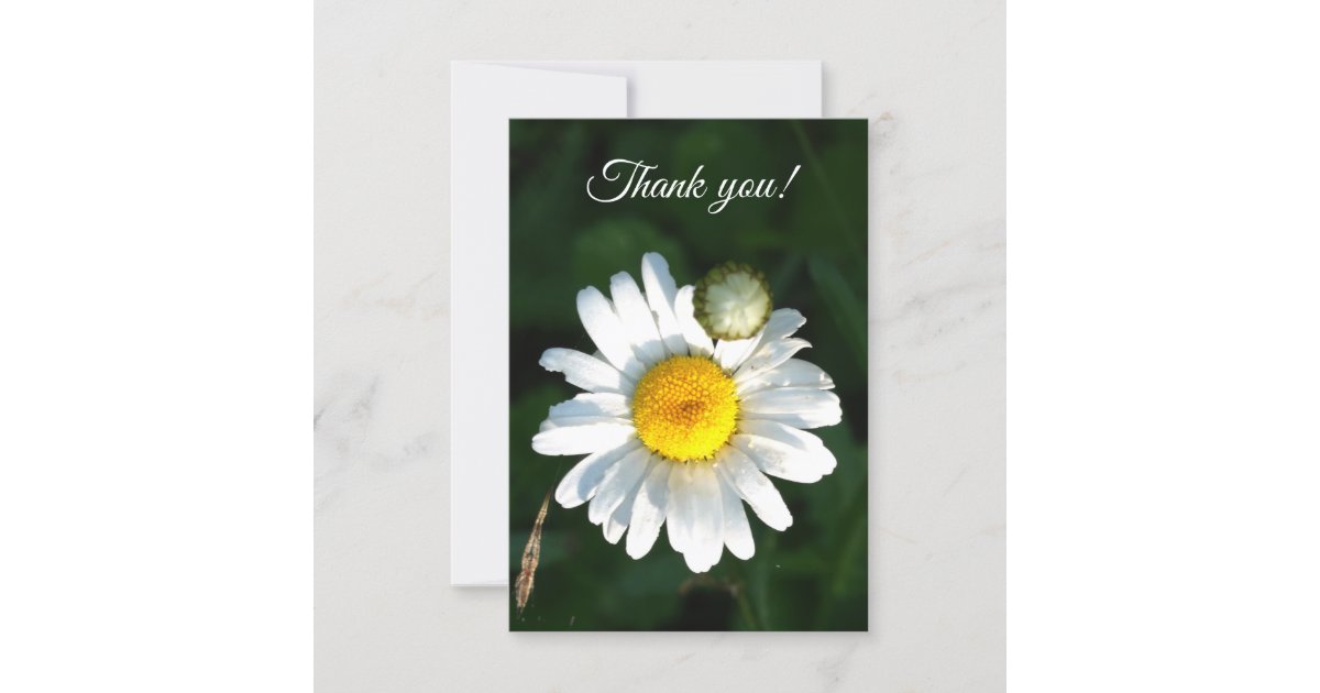 White Daisy Text Thank You Card | Zazzle