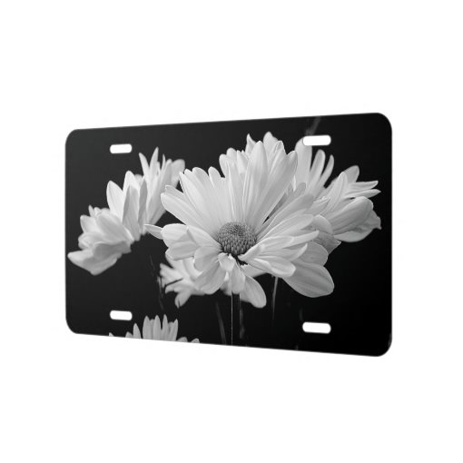 White Dasies flowers License Plate | Zazzle