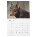 White Doberman Calendar | Zazzle