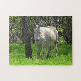 Donkey Jigsaw Puzzles | Zazzle