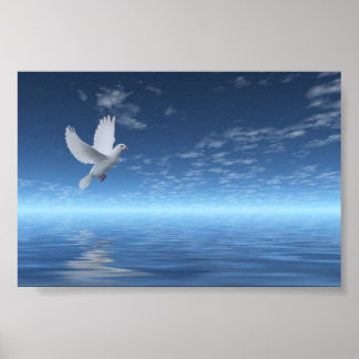 White Dove Posters | Zazzle
