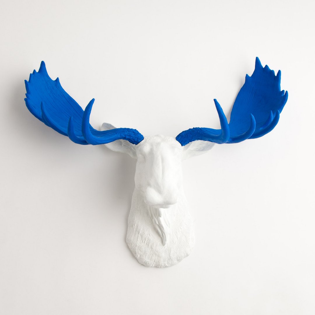 White Faux Moose Head with Blue Antlers | Zazzle