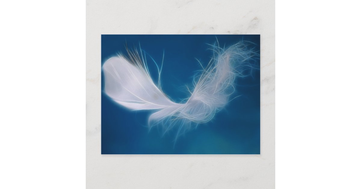 White feather art - symbol of purity and innocence postcard | Zazzle