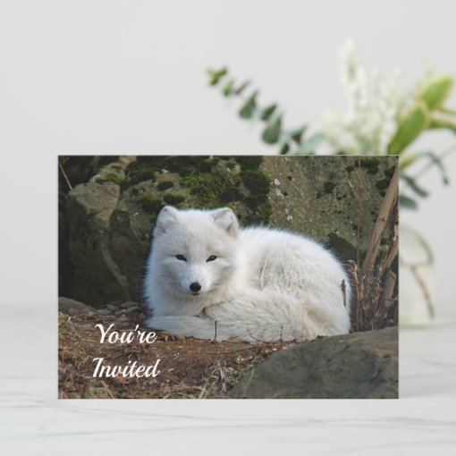 White Fox Photo Birthday Invitation | Zazzle