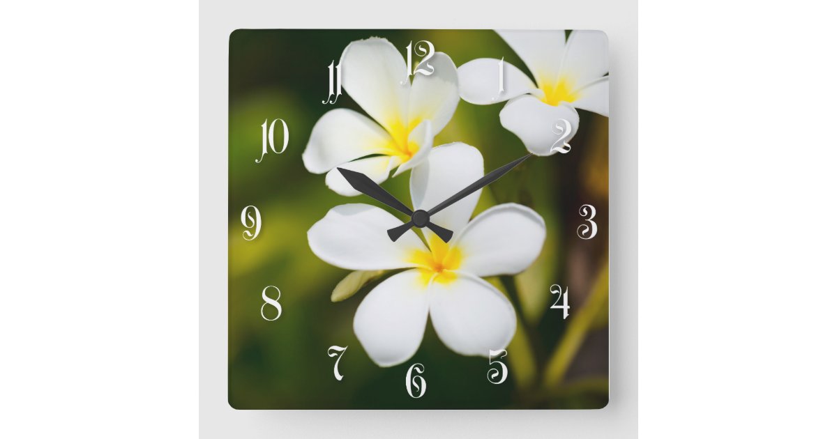 White frangipani tropical flowers square wall clock | Zazzle