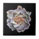 White Gardenia Black Background Ceramic Tile | Zazzle
