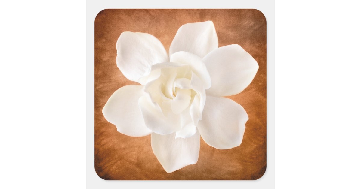 White Gardenia Flower Blossom Floral Square Sticker | Zazzle