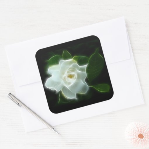 White Gardenia Flower Plant Square Sticker | Zazzle