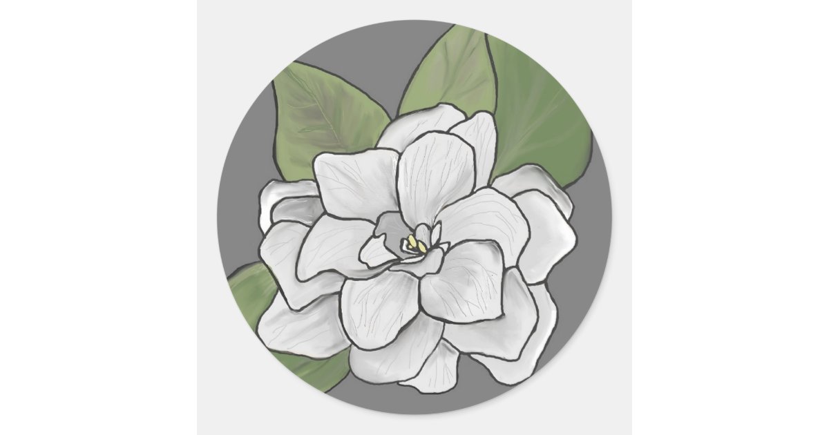 White Gardenia Sticker | Zazzle