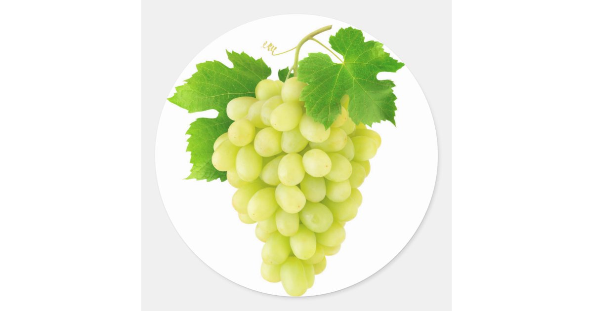White grape classic round sticker | Zazzle