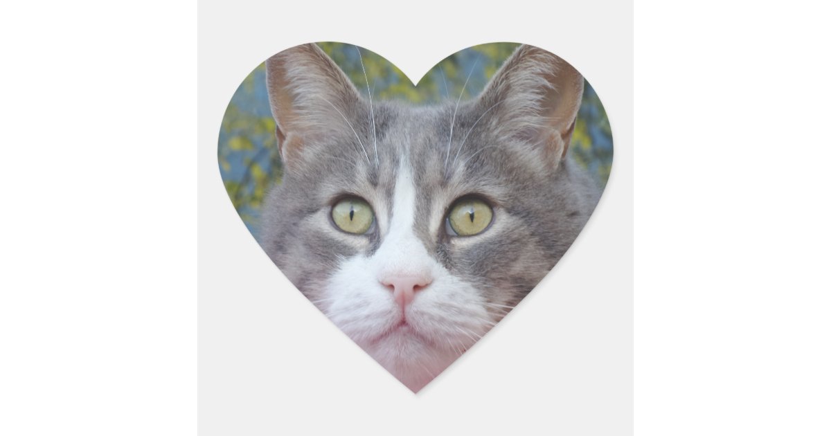 White/Gray Cat Heart Sticker | Zazzle