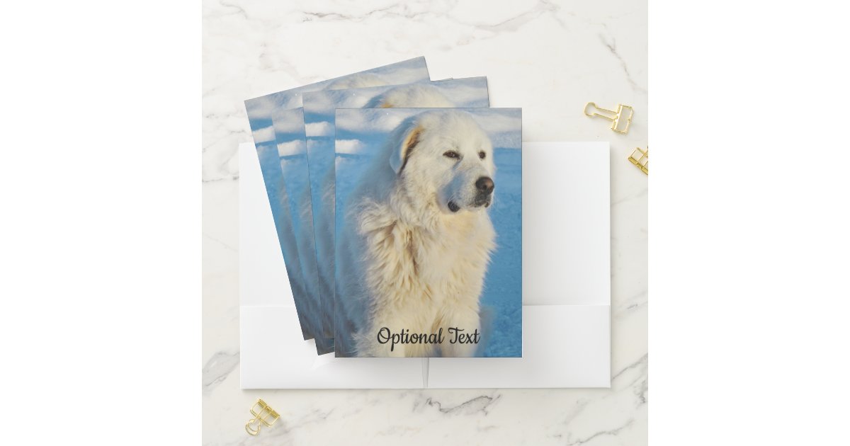White Great Pyrenees Livestock Guardian Dog Pocket Folder | Zazzle