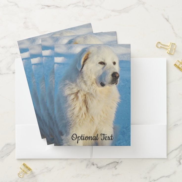 White Great Pyrenees Livestock Guardian Dog Pocket Folder | Zazzle