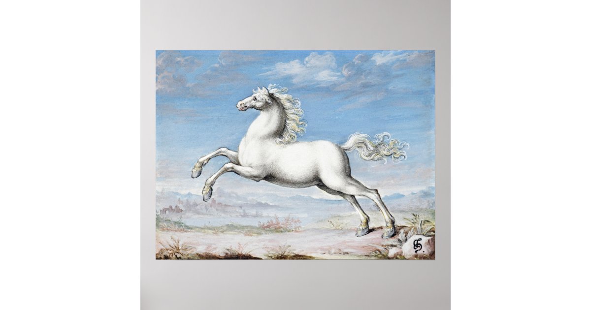 White Horse Painting Joris Hoefnagel Vintage Renai Poster | Zazzle