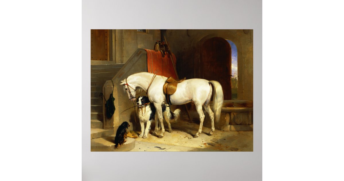 WHITE HORSE WITH DOGS AND FALCONS IN STABLE POSTER | Zazzle