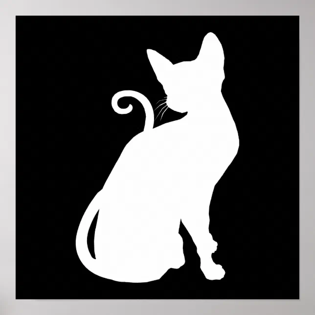 White House Cat Poster | Zazzle