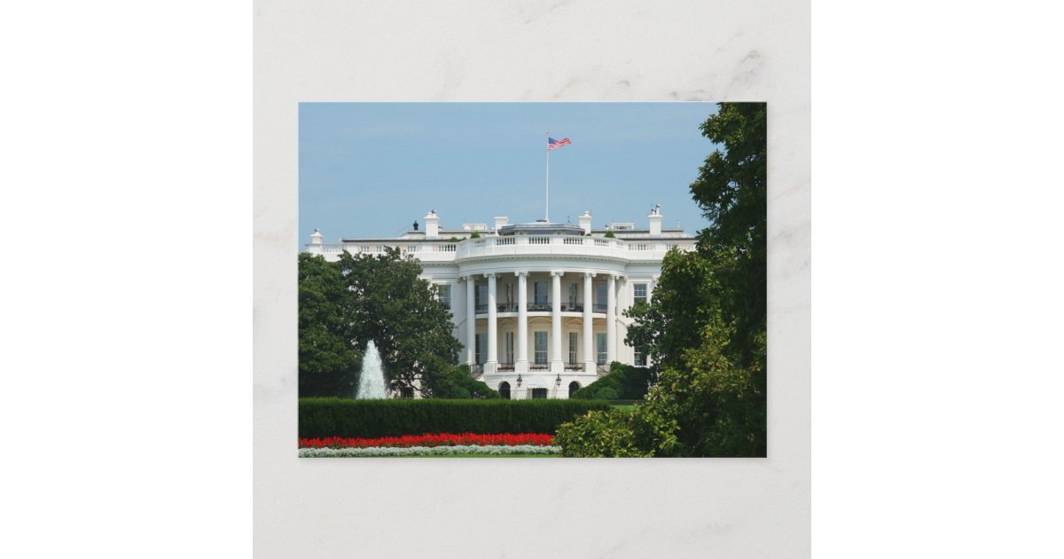 White House Postcard | Zazzle