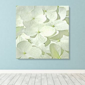 White Hydrangea Canvas Print | Zazzle