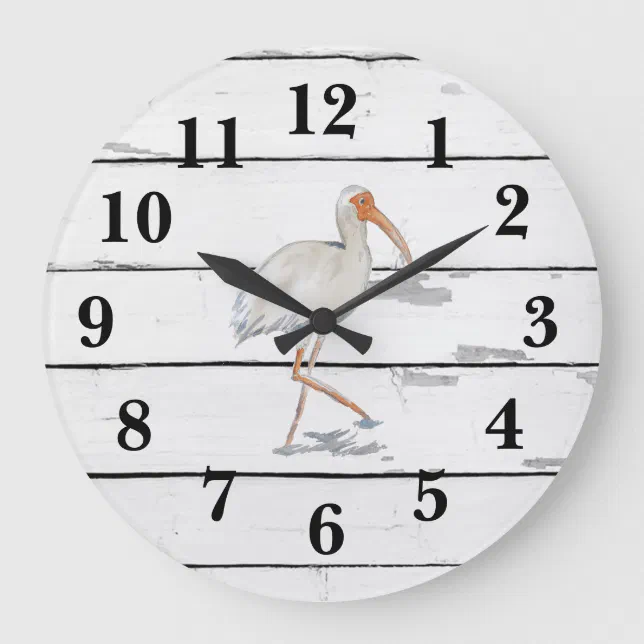 White Ibis Florida Bird Beach Shiplap Large Clock | Zazzle