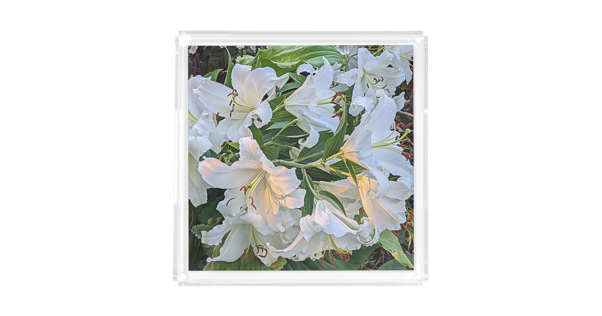 White Lily Blooms Floral Acrylic Tray | Zazzle.com