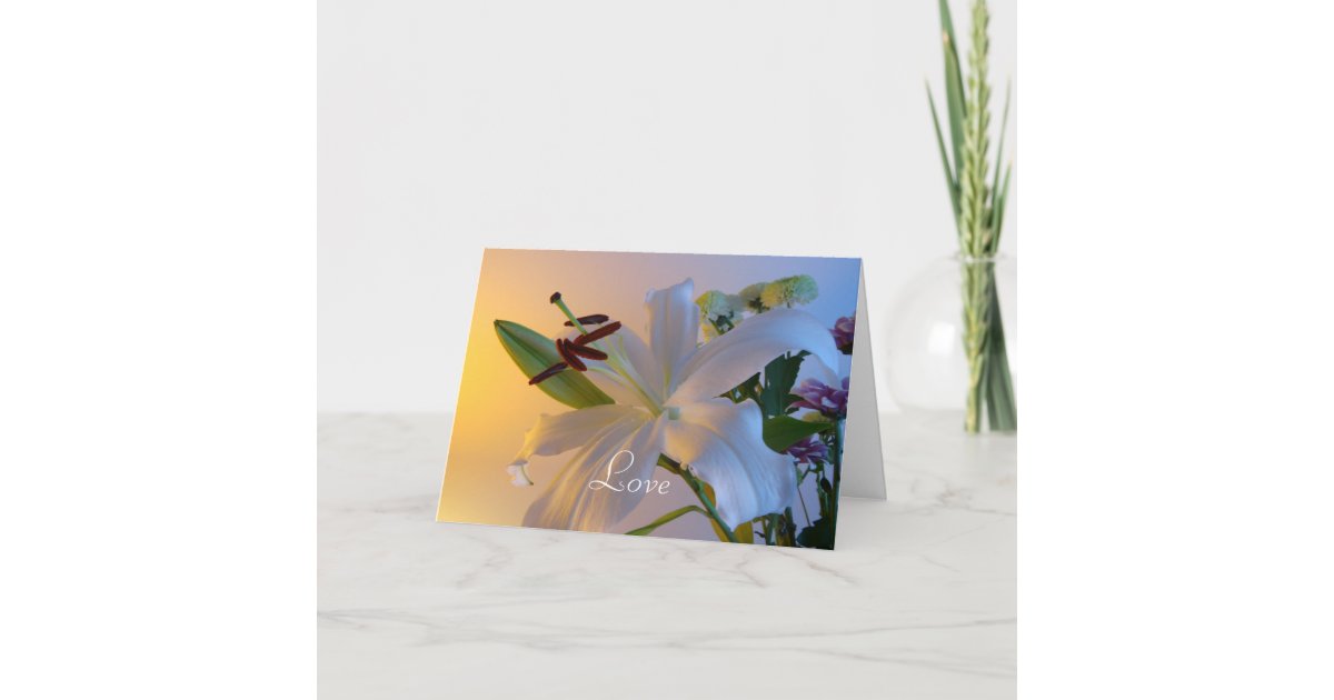 White Lily, flower. Card | Zazzle