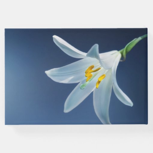 White Lily In Loving Memory | Funeral, Memorial Guest Book | Zazzle
