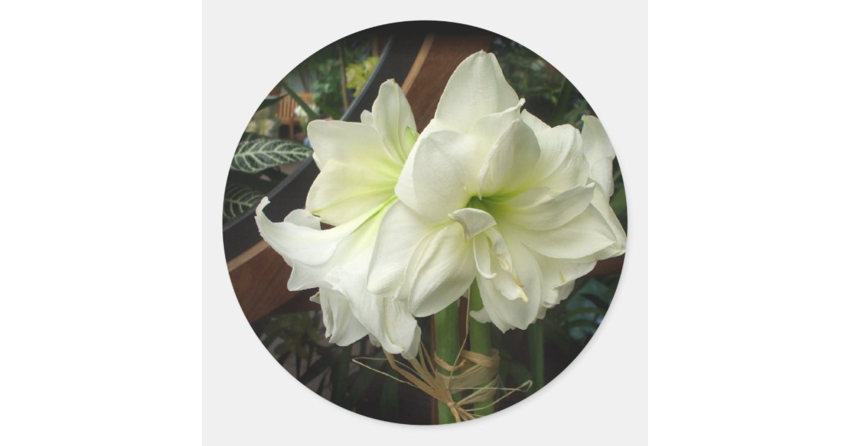 White lily stickers | Zazzle