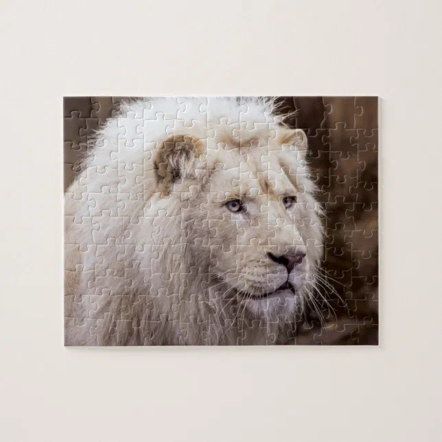 White Lion Photo Jigsaw Puzzle | Zazzle