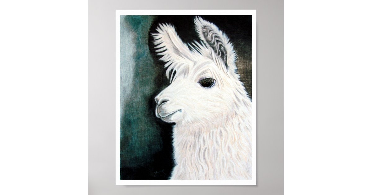 White Llama Poster | Zazzle