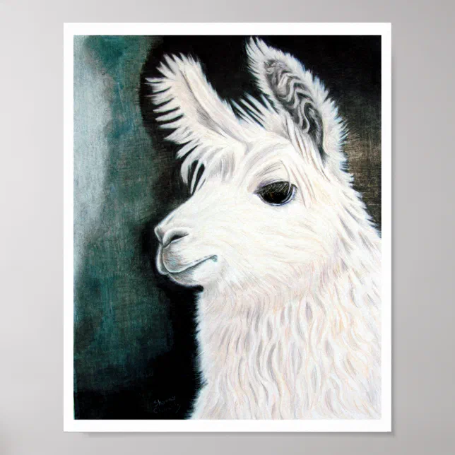 White Llama Poster | Zazzle