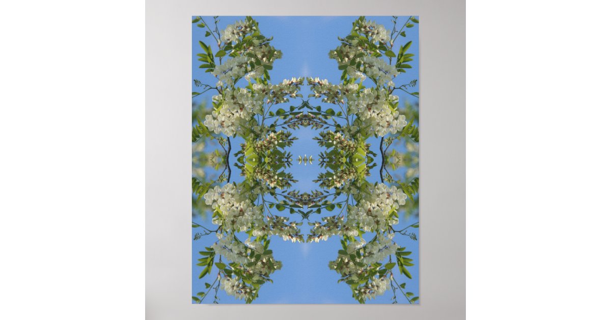 White Locust Flower Blossoms Abstract Poster | Zazzle