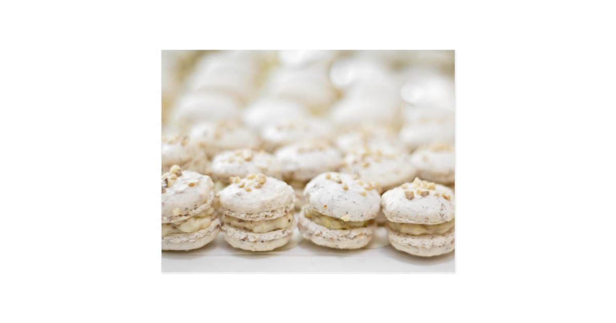 White Macaroons Postcard | Zazzle.com