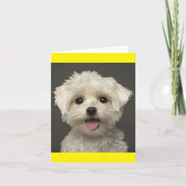 White Maltese Puppy Dog Blank Note Card | Zazzle