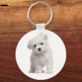 White Maltese Puppy Dog Love Custom Keychain | Zazzle