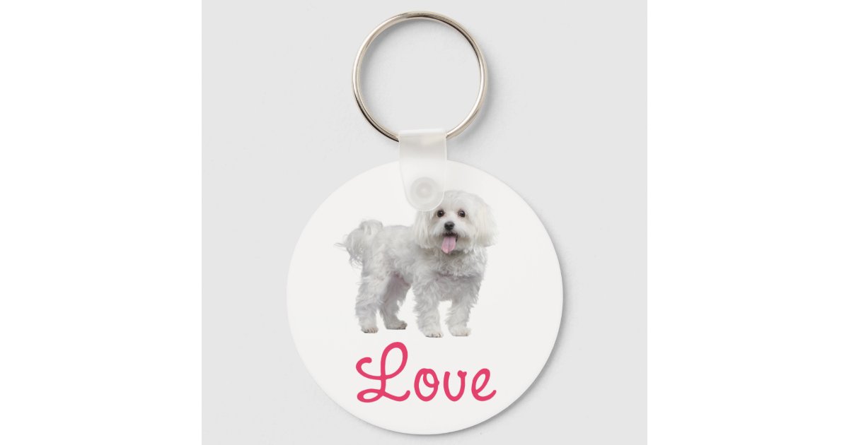 White Maltese Puppy Dog Love Custom Keychain | Zazzle