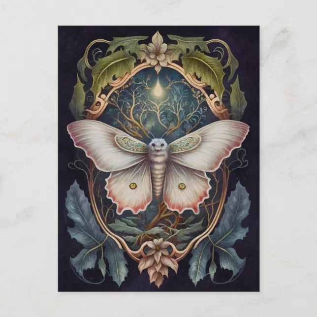 White Moth Postcard | Zazzle