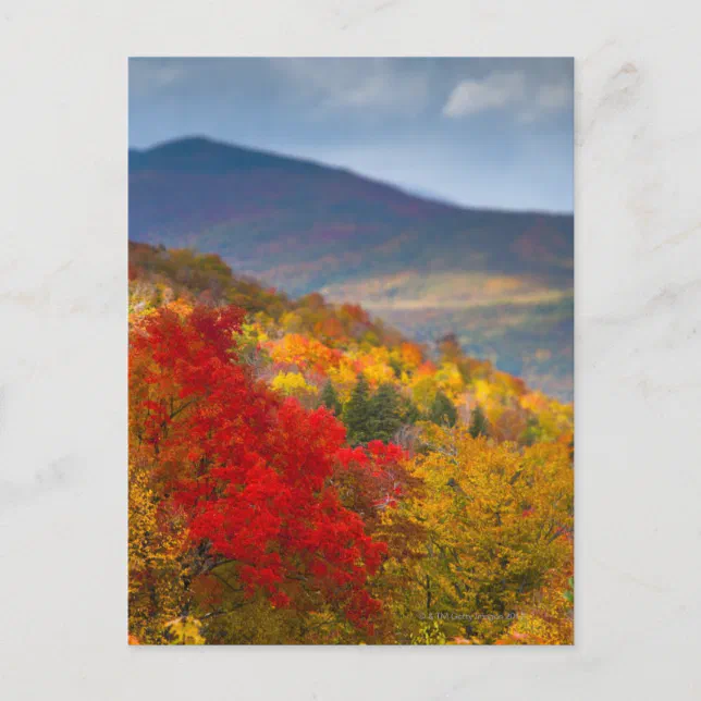 White Mountains National Forest Postcard | Zazzle