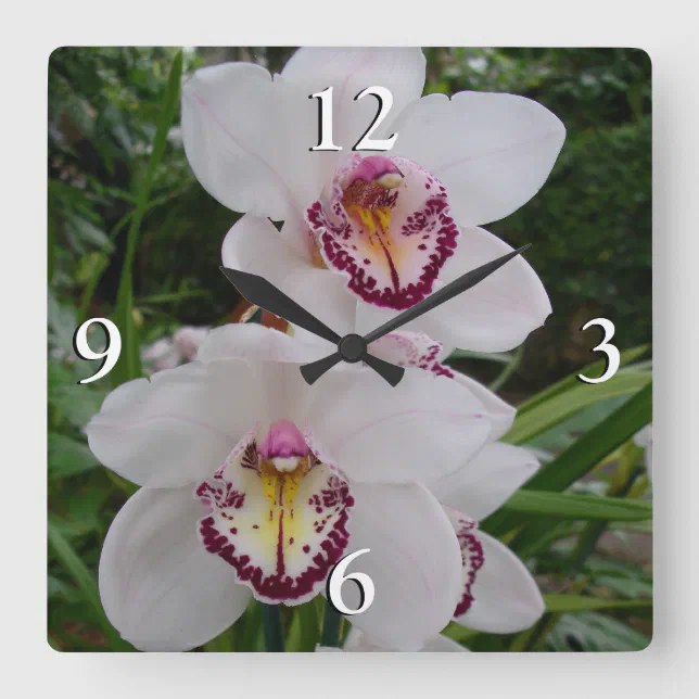 White Orchids Beautiful Tropical Flowers Square Wall Clock | Zazzle
