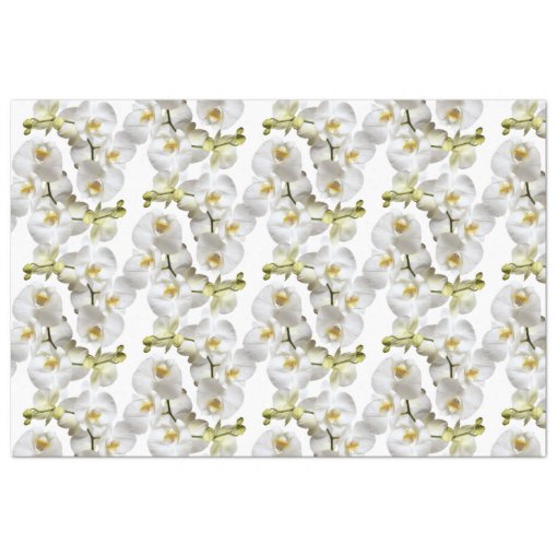 White Orchids Pattern Tissue Paper | Zazzle