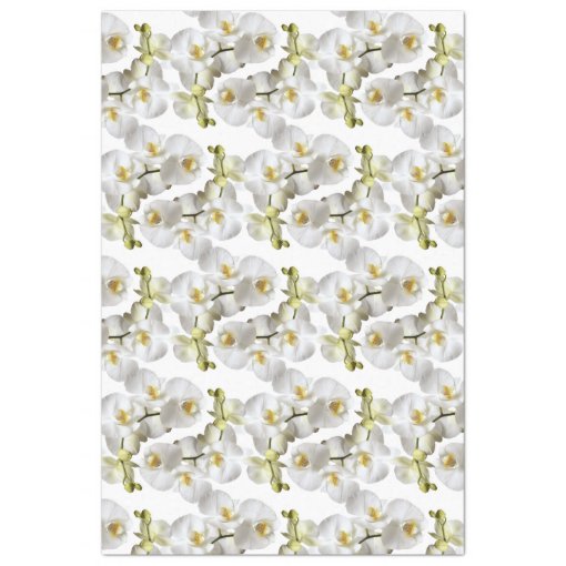 White Orchids Pattern Tissue Paper | Zazzle