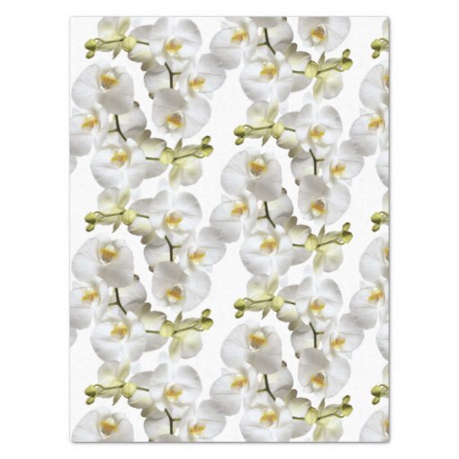 White Orchids Pattern Tissue Paper | Zazzle
