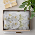 White Orchids Pattern Tissue Paper | Zazzle