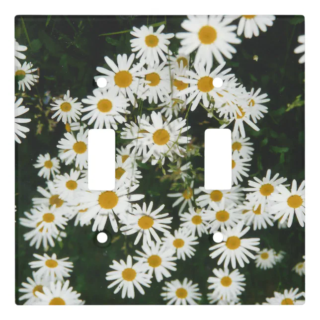 White Oxeye Daisy, Moon Daisy Meadow Light Switch Cover | Zazzle