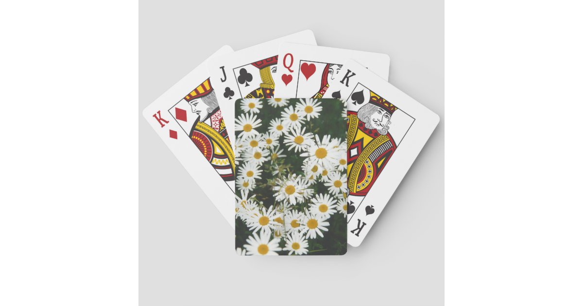 White Oxeye Daisy, Moon Daisy Meadow Poker Cards | Zazzle