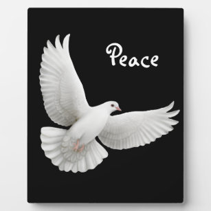 White Dove Posters & Photo Prints | Zazzle