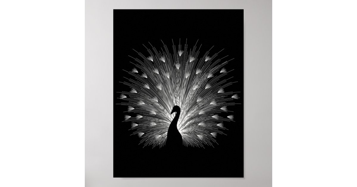 White Peacock Poster Zazzle